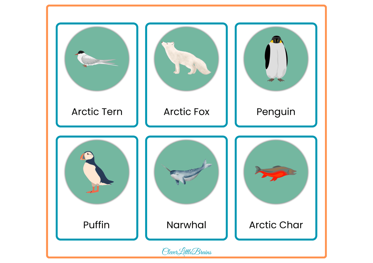 Arctic Animals Flashcards | Polar Animal Names With Pictures In English ...