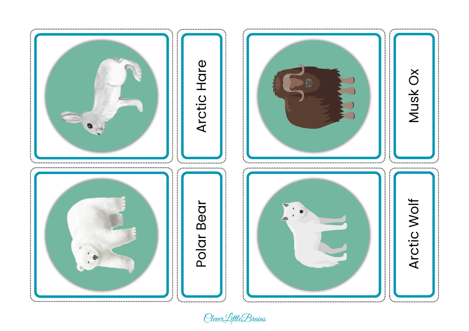 Arctic Animals Flashcards | Polar Animal Names With Pictures In English ...